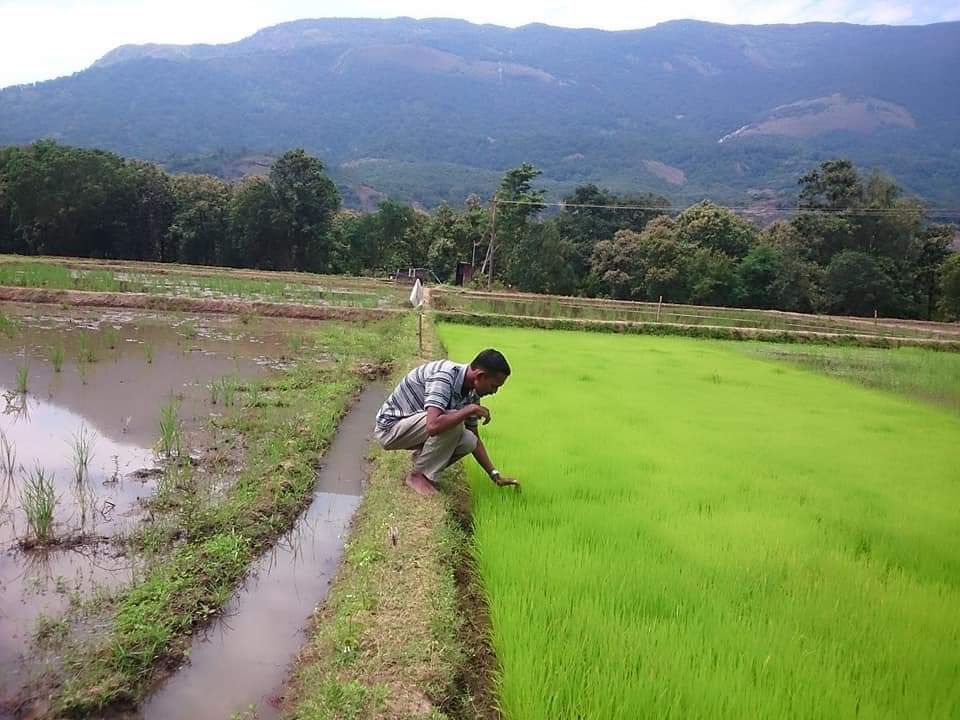 El uso de AGRIS para transformar la agricultura en India, el caso de ...
